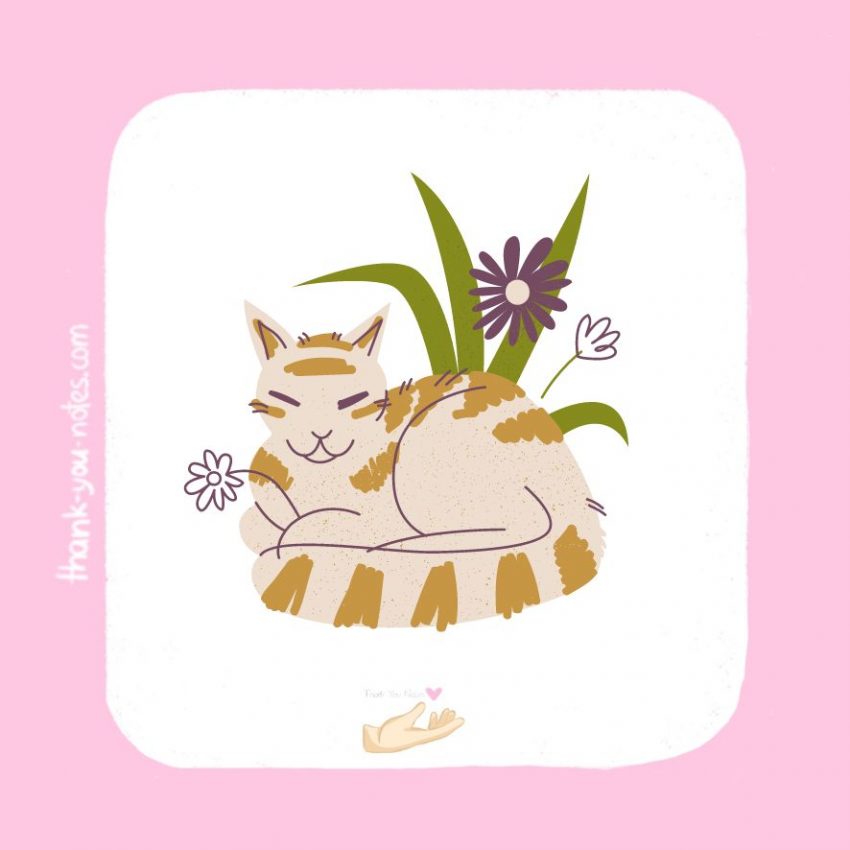 20 Cute Cat Thank You Meme - The Thank You Notes Blog