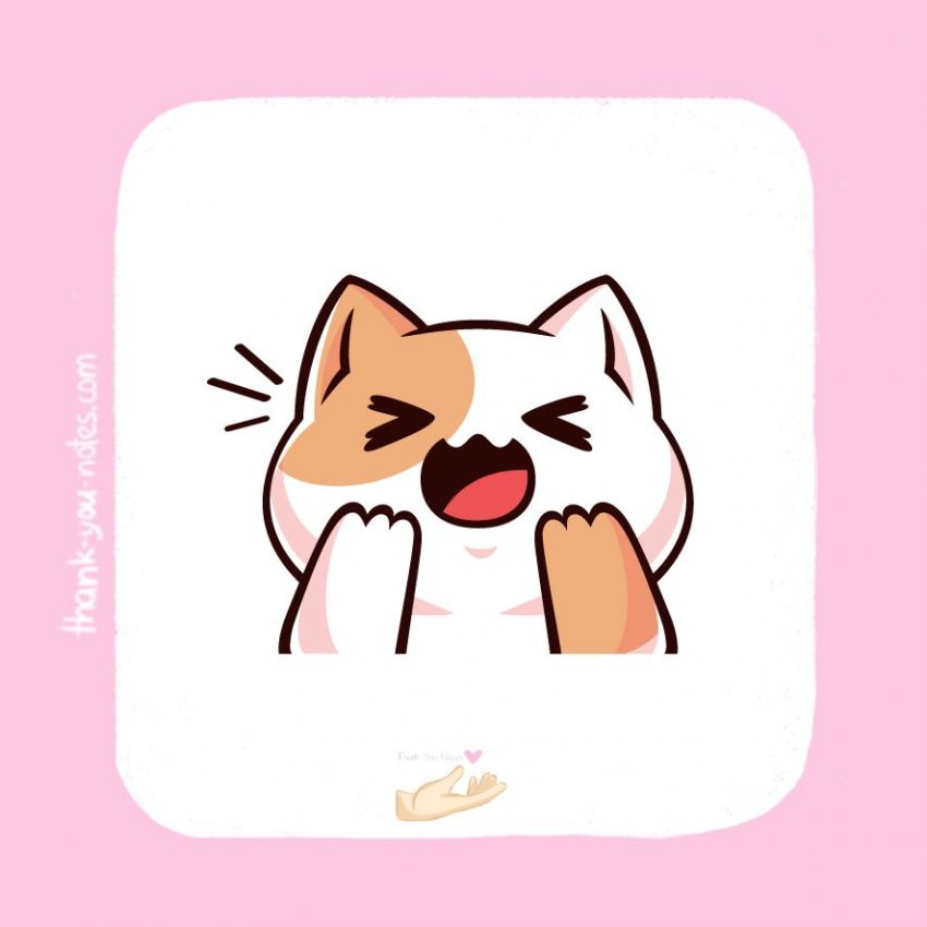 20 Cute Cat Thank You Meme - The Thank You Notes Blog
