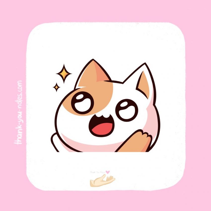 20 Cute Cat Thank You Meme - The Thank You Notes Blog