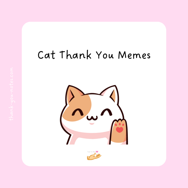 20 Cute Cat Thank You Meme: Excellent For Pet-Lovers