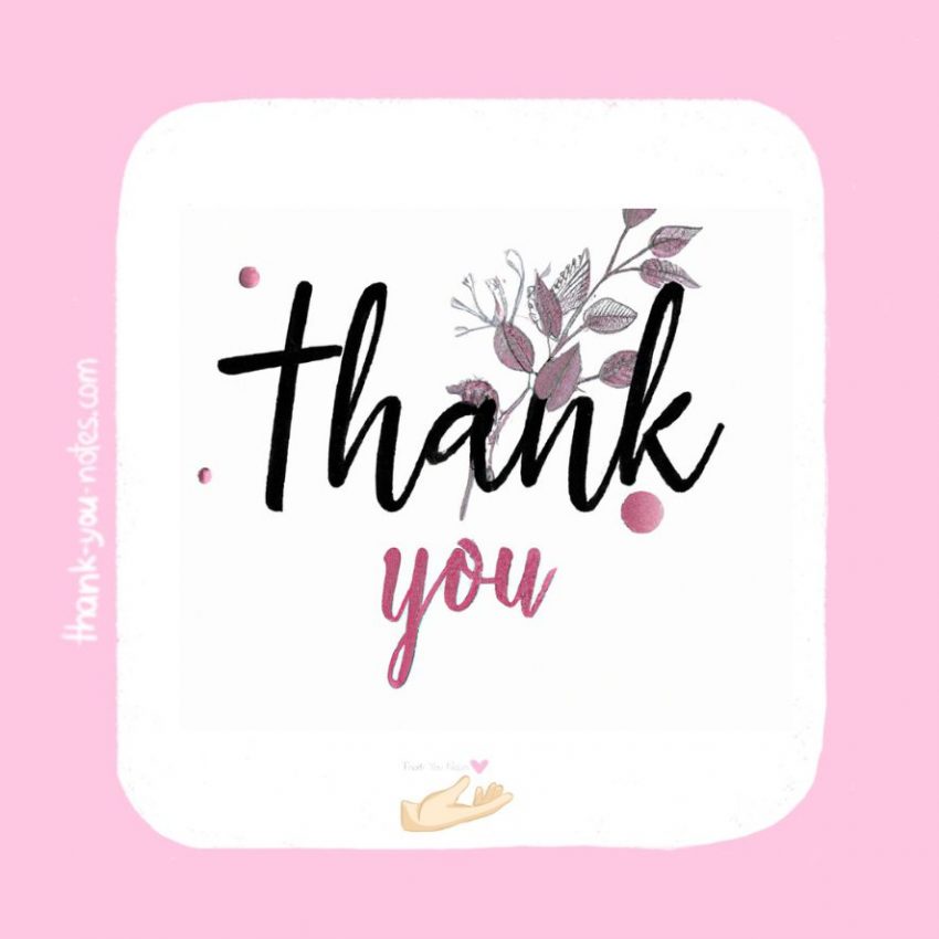 20 I Appreciate You Meme - The Thank You Notes Blog