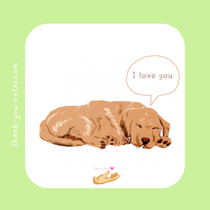 20 Cute Dog Thank You Meme: Excellent Affirmations