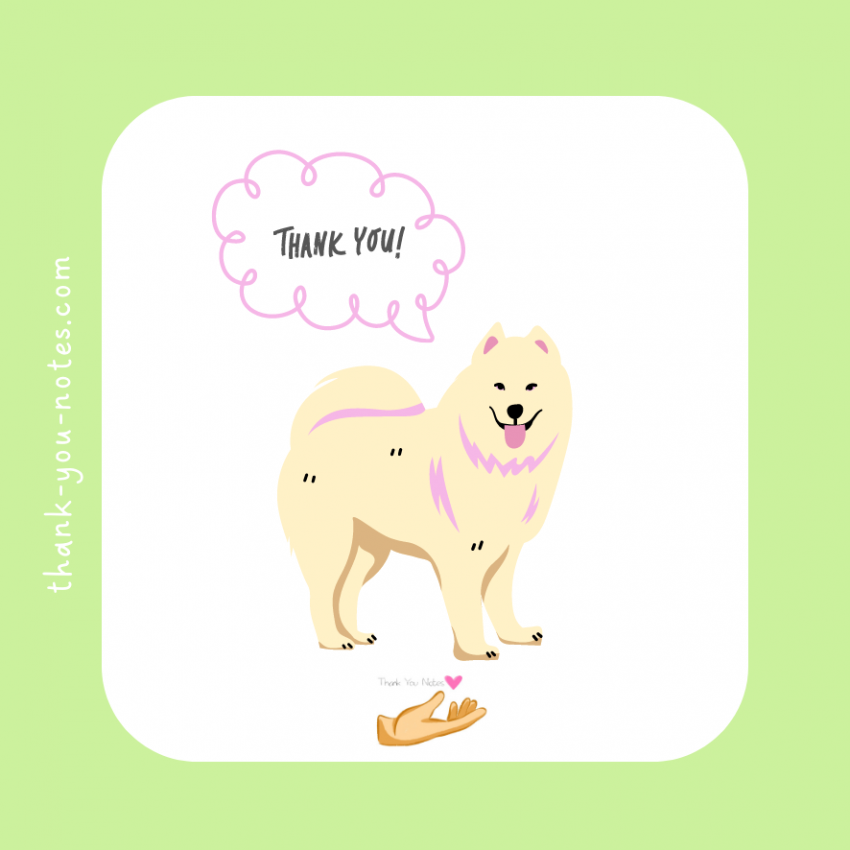 20 Cute Dog Thank You Meme: Excellent Affirmations