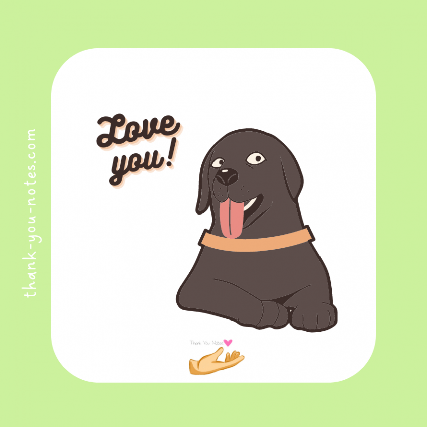 20 Cute Dog Thank You Meme: Excellent Affirmations