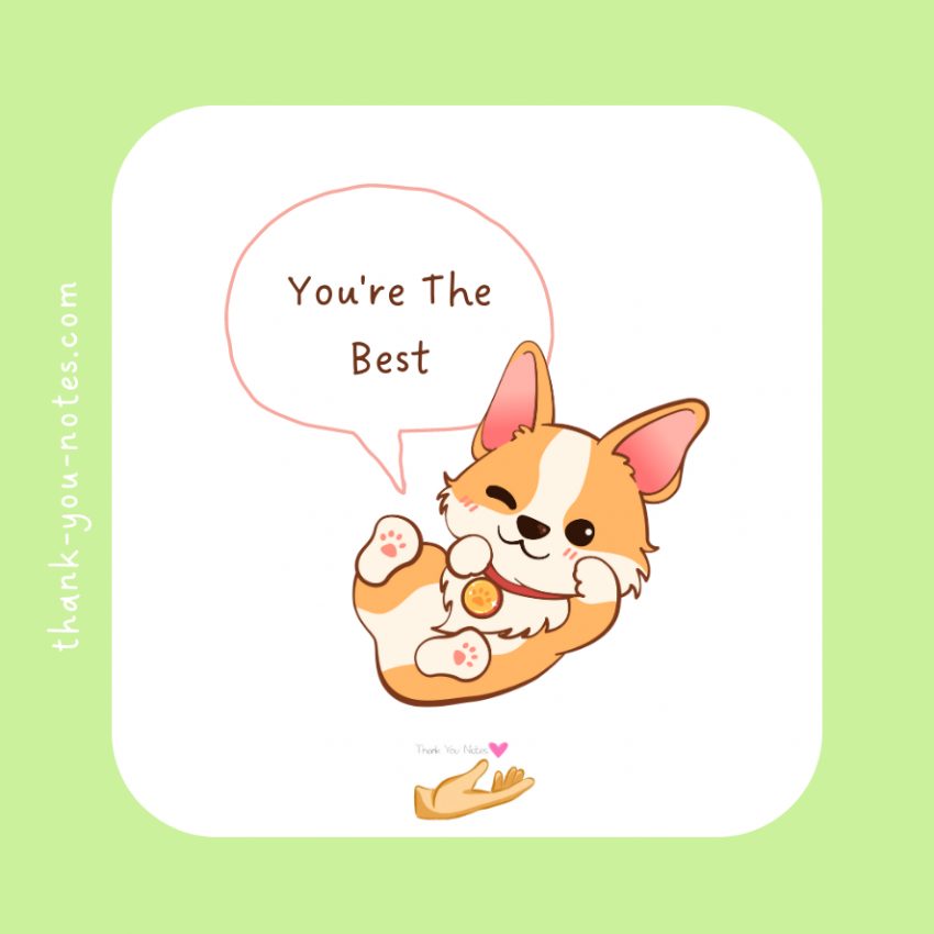 20 Cute Dog Thank You Meme: Excellent Affirmations