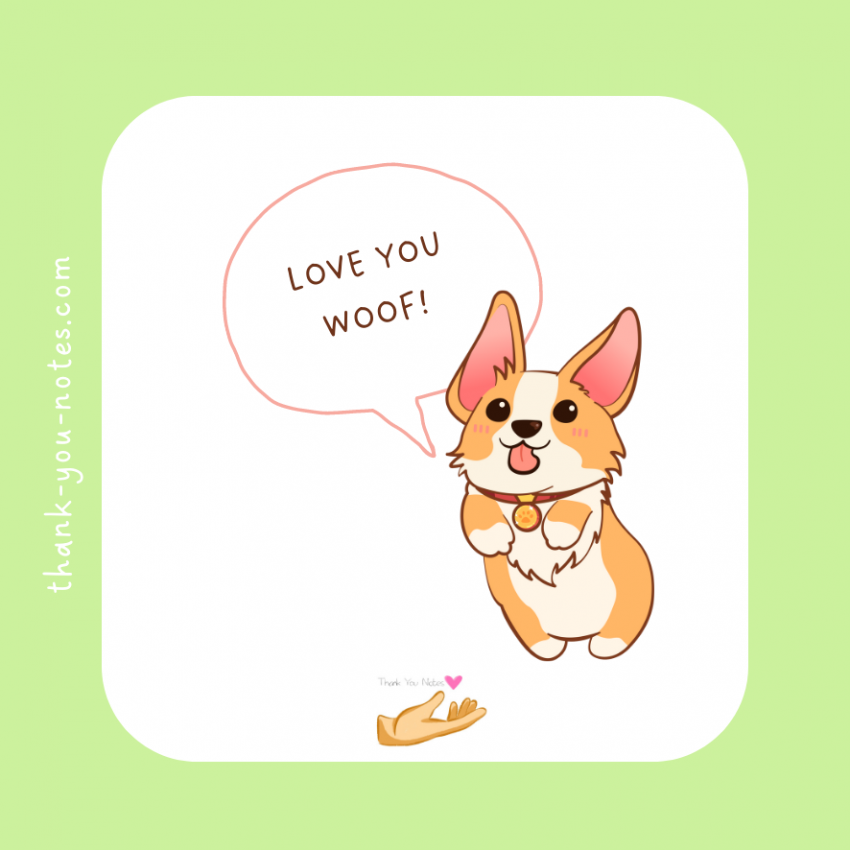 20 Cute Dog Thank You Meme: Excellent Affirmations