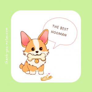 20 Cute Dog Thank You Meme: Excellent Affirmations - The Thank You ...