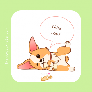 20 Cute Dog Thank You Meme: Excellent Affirmations - The Thank You ...