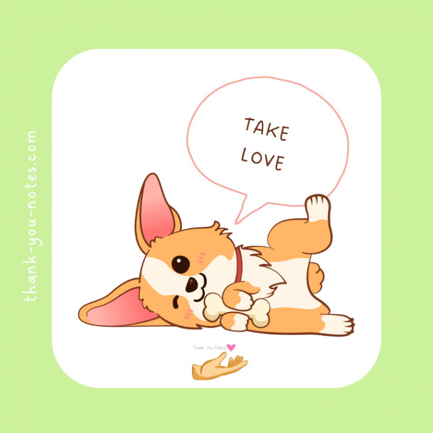 20 Cute Dog Thank You Meme: Excellent Affirmations