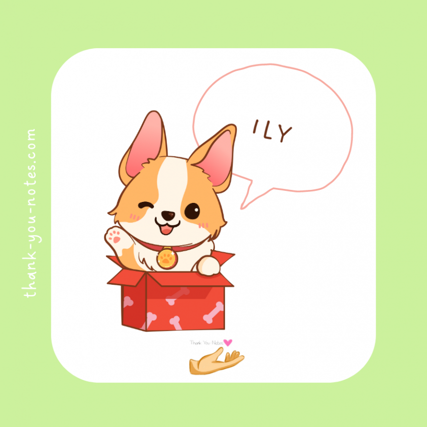 20 Cute Dog Thank You Meme: Excellent Affirmations