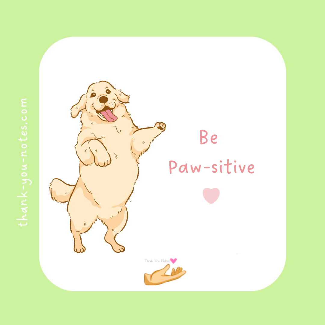 20 Cute Dog Thank You Meme: Excellent Affirmations