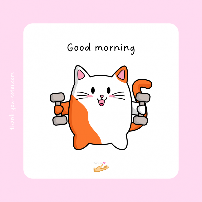 20 Cute Cat Thank You Meme: Excellent For Pet-Lovers