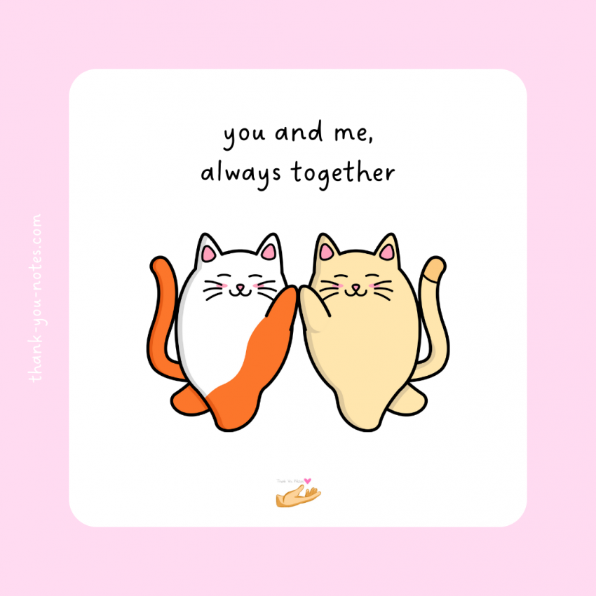 20 Cute Cat Thank You Meme: Excellent For Pet-Lovers