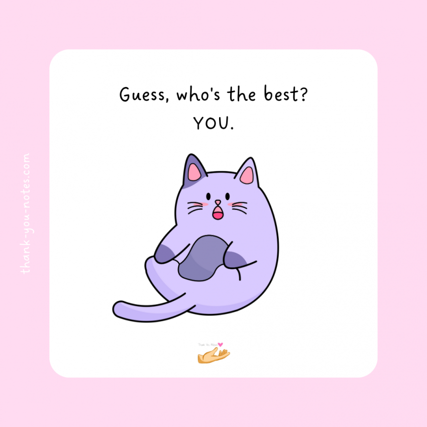 20 Cute Cat Thank You Meme: Excellent For Pet-Lovers