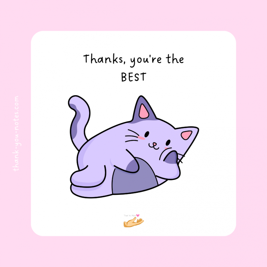 20 Cute Cat Thank You Meme: Excellent For Pet-Lovers