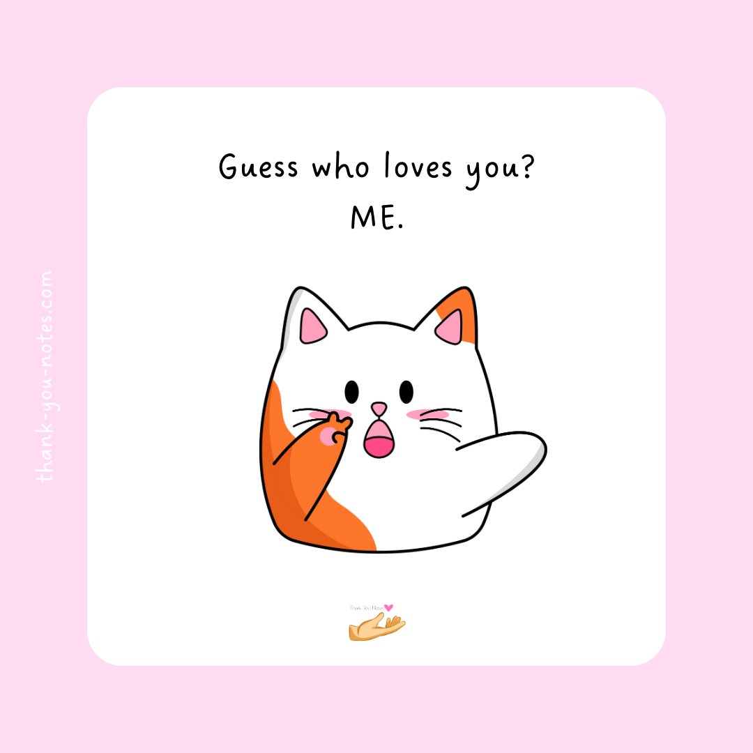 20 Cute Cat Thank You Meme: Excellent For Pet-Lovers