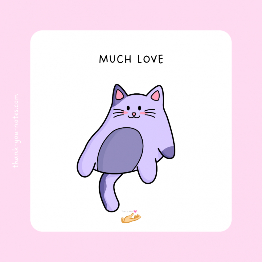20 Cute Cat Thank You Meme: Excellent For Pet-Lovers