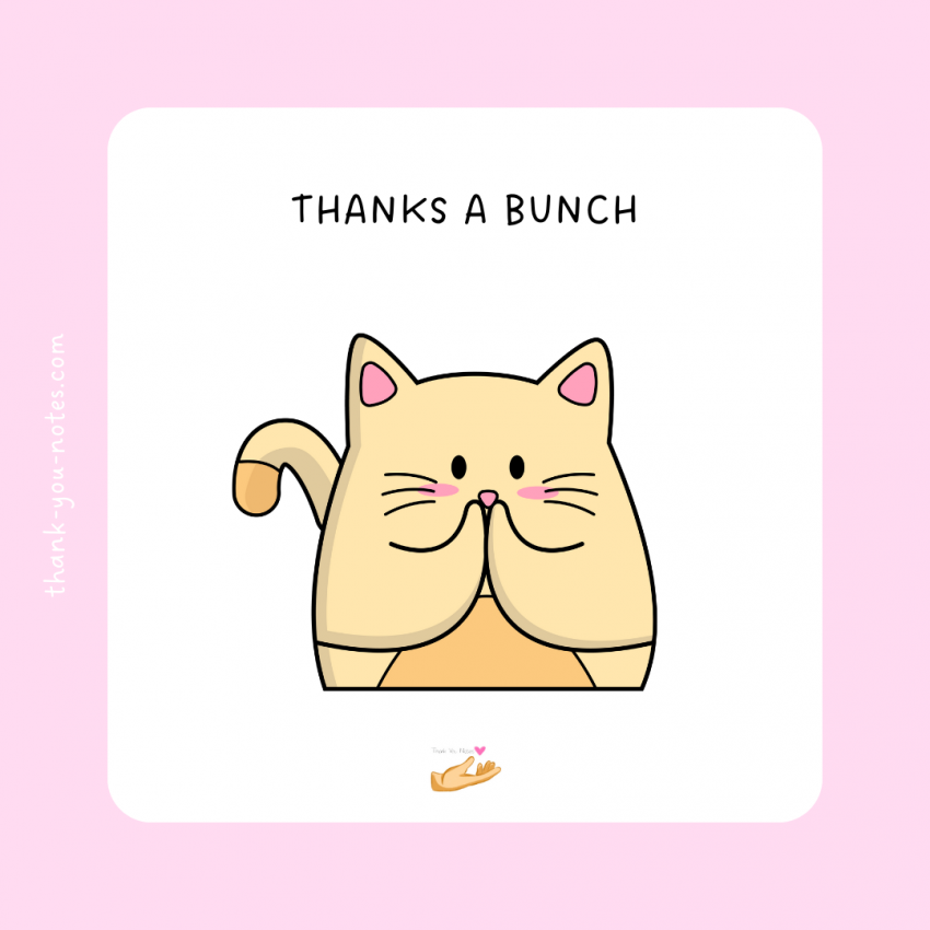 20 Cute Cat Thank You Meme: Excellent For Pet-Lovers