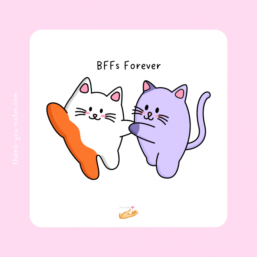 20 Cute Cat Thank You Meme: Excellent For Pet-Lovers