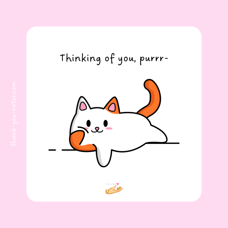 20 Cute Cat Thank You Meme: Excellent For Pet-Lovers