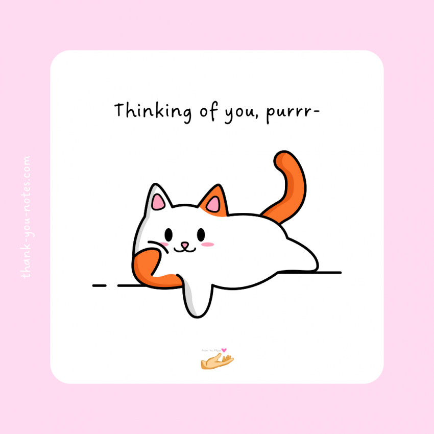 20 Cute Cat Thank You Meme: Excellent For Pet-Lovers