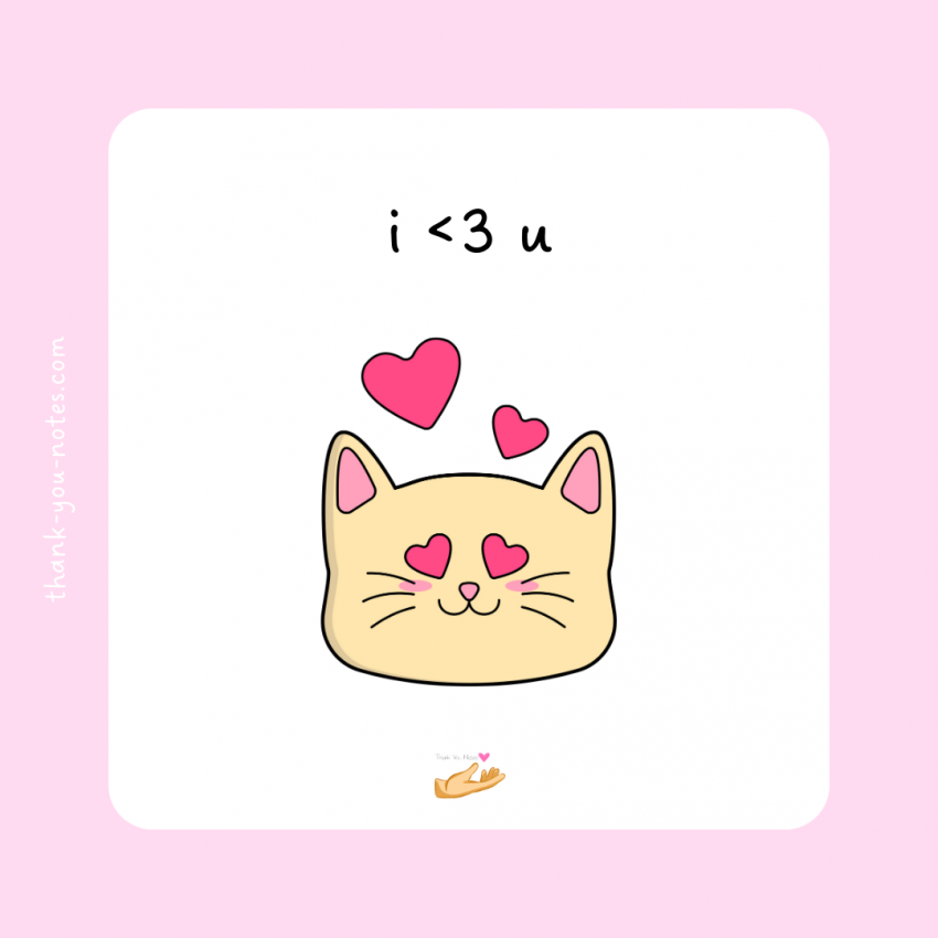 20 Cute Cat Thank You Meme: Excellent For Pet-Lovers