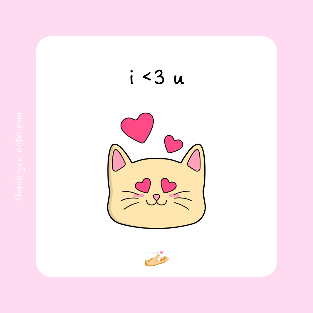 20 Cute Cat Thank You Meme: Excellent For Pet-Lovers