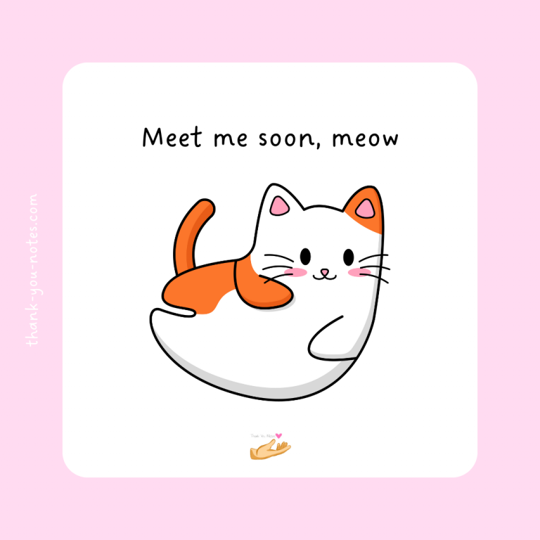 20 Cute Cat Thank You Meme: Excellent For Pet-Lovers