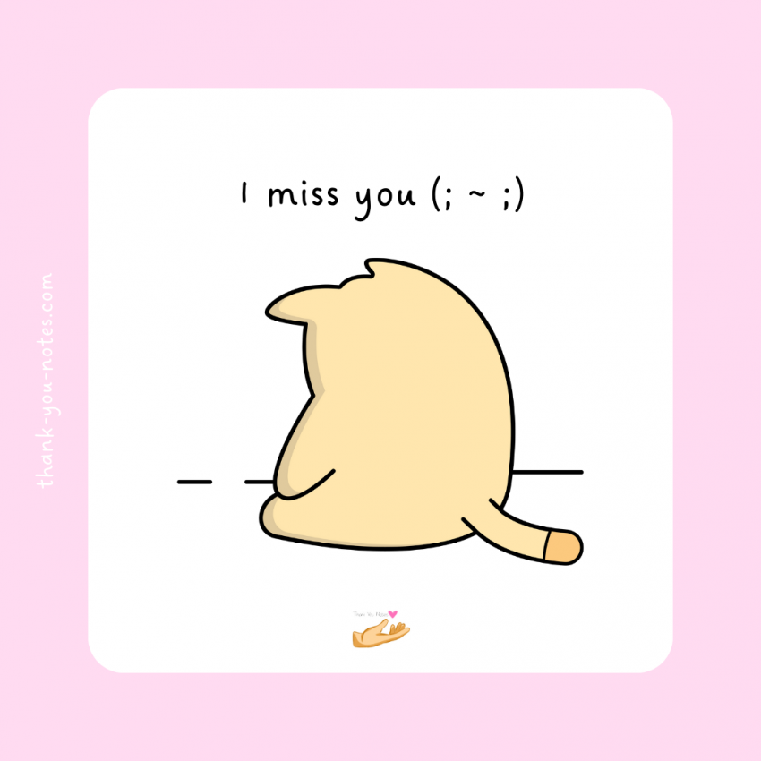 20 Cute Cat Thank You Meme: Excellent For Pet-Lovers