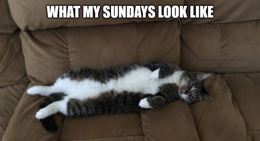 15 Hilarious Sunday Memes To Remove Weekday Stress - The Thank You ...